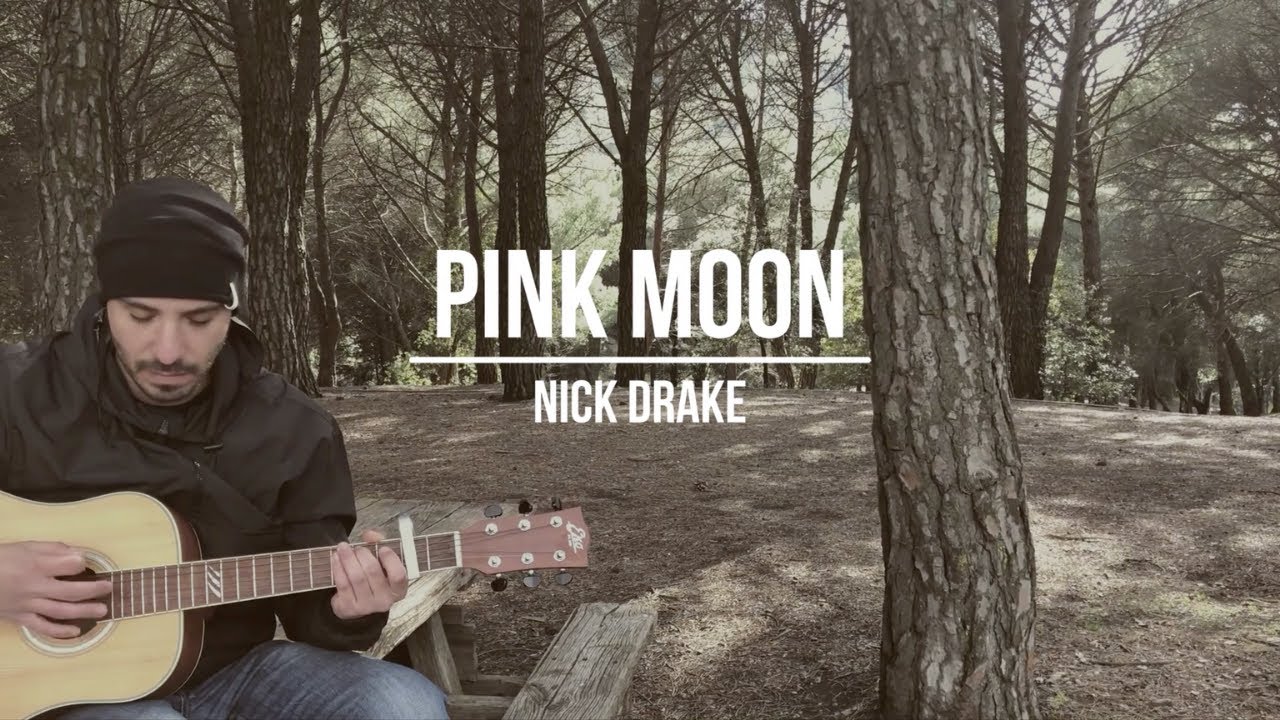 Pink Moon - Nick Drake (cover) - YouTube