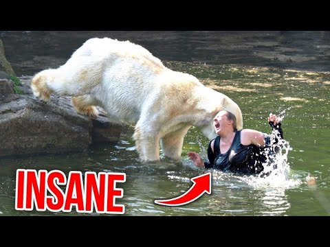 The Most DANGEROUS Zoo Incident Ever Caught on Camera - YouTube