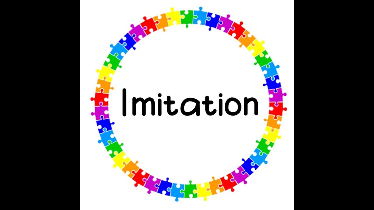 Episode 28 - The Angry Birds and Liz Work on Two-Step Imitation - YouTube