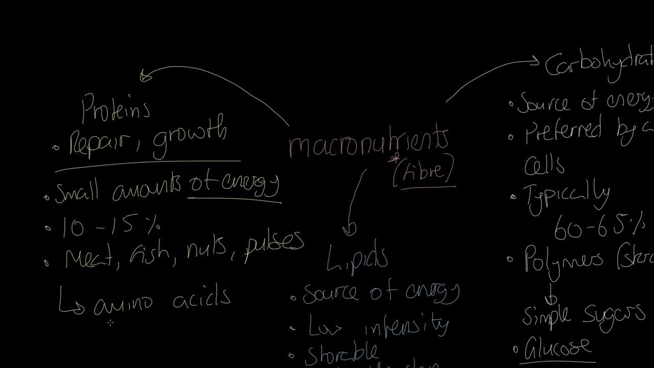IB Sports, exercise and health science 2024: Macronutrients - YouTube
