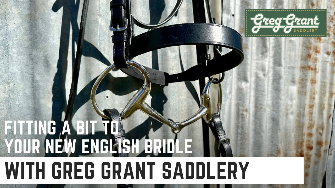 Fitting a Bit to Your New English Bridle with Greg Grant Saddlery - YouTube