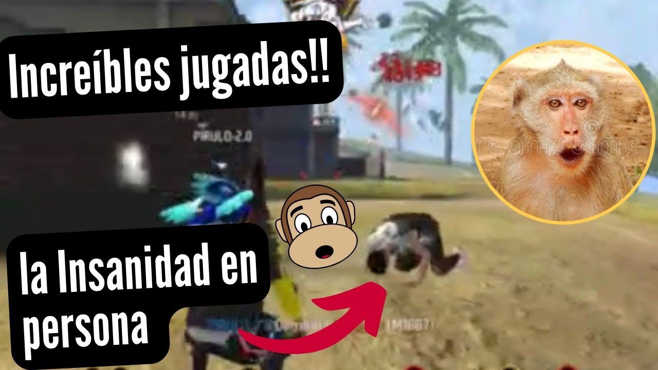 insanidad 😴 - YouTube