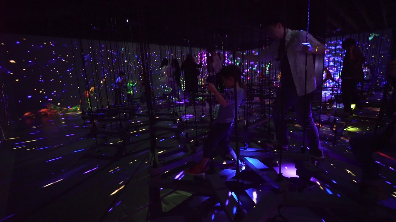 Aerial Climbing through a Flock of Colored Birds - YouTube