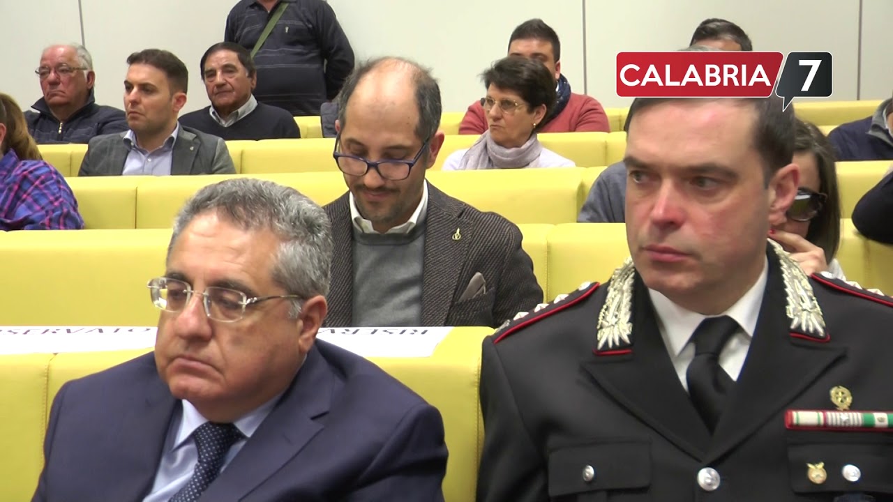 M5S dichiara guerra alla mafia, legge ad hoc della Vono - YouTube