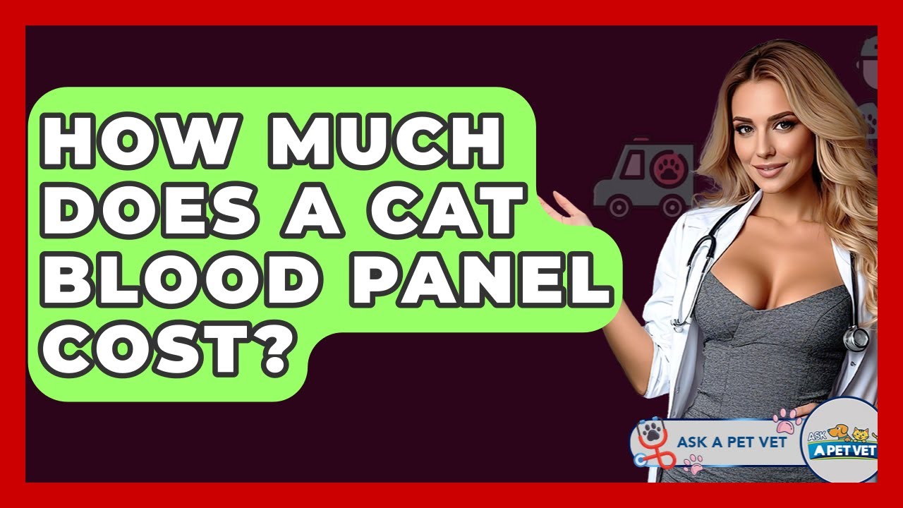 How Much Does A Cat Blood Panel Cost? - Ask A Pet Vet - YouTube