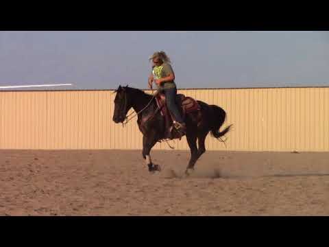 Smart Wiley Rey - 2009 AQHA Dual Smart Rey gedling RANCH, ROPE, Handy ...