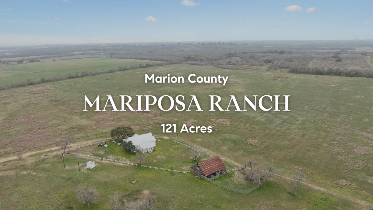 Mariposa Ranch | 121 Acres | Marion County, TX - YouTube