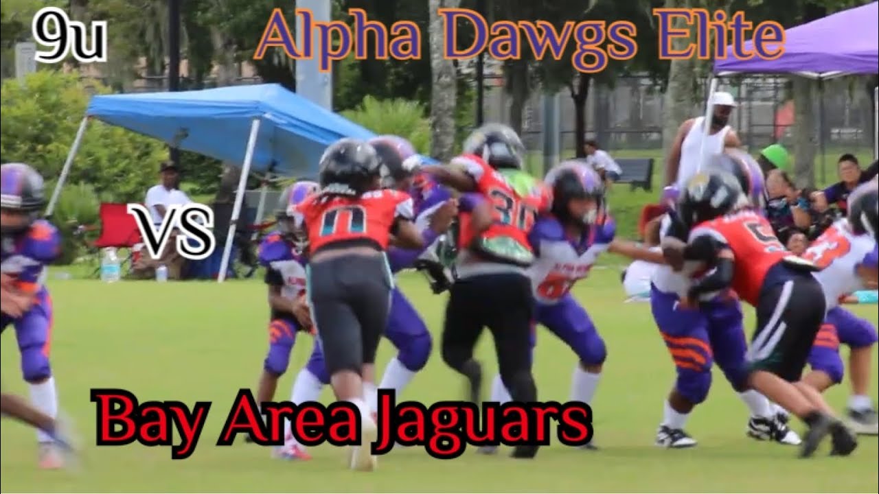 9u FOOTBALL | ALPHA DAWGS ELITE VS BAY AREA JAGUARS (1ST HALF CLIPS ...