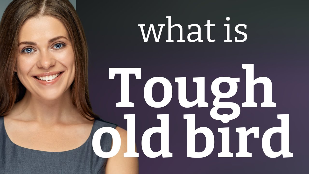 Understanding the Phrase "Tough Old Bird": A Guide to English Idioms ...