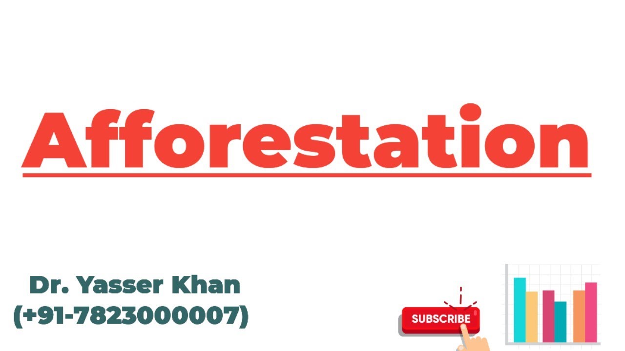 Afforestation | Meaning Of Afforestation | Forestation | Environmental ...