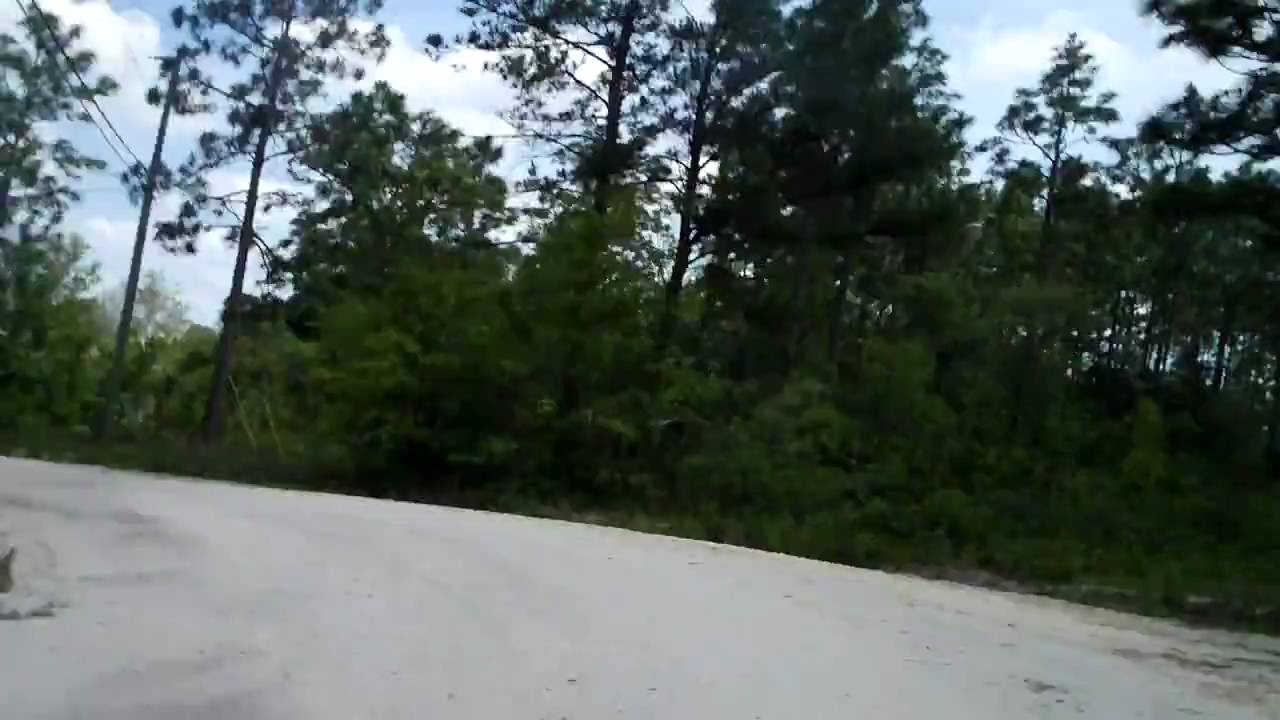 Baja Warrior Mini Bike 196cc Cold Start - YouTube