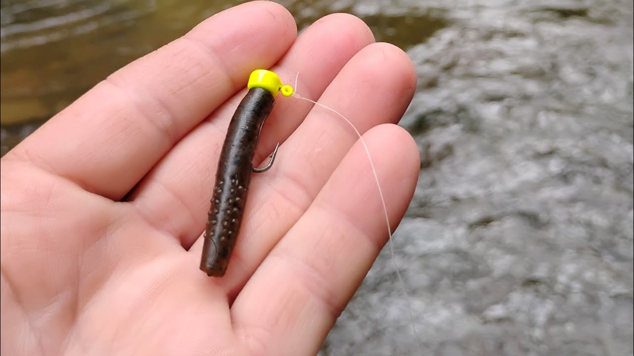 MICRO NED RIG IN MICRO CREEK, TROPHY FISH!! - YouTube