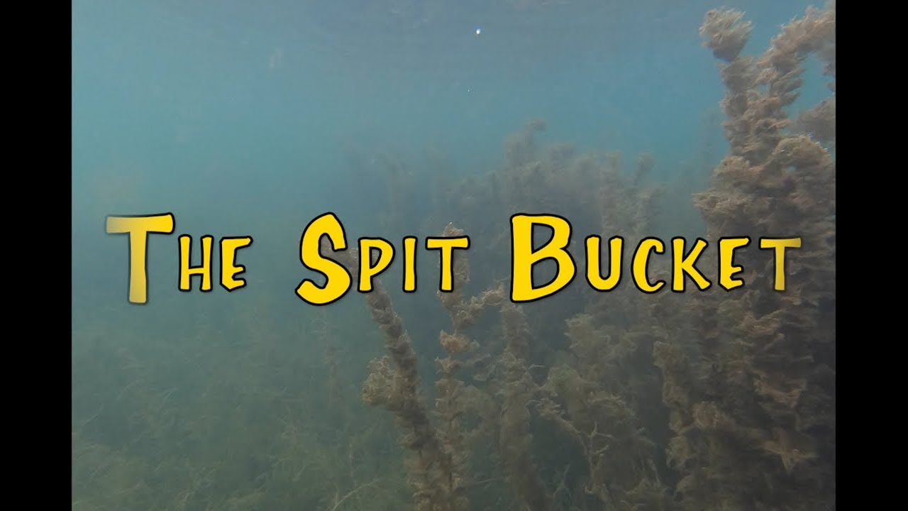 The Spit Bucket Gets a Sitcom - YouTube