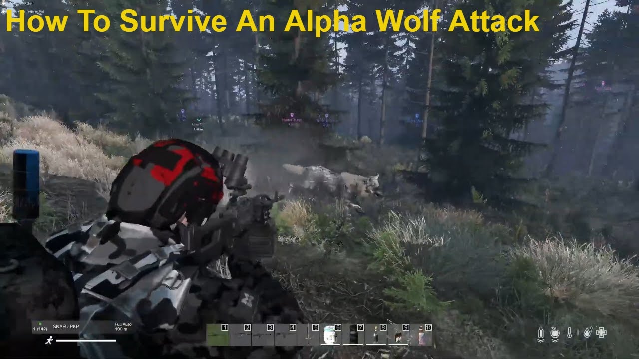 DayZ How To Survive An Alpha Wolf Attack - YouTube