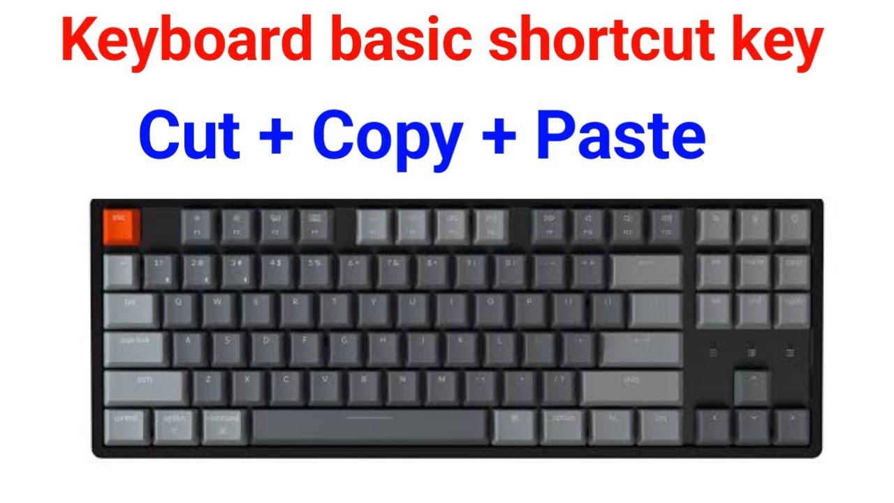Keyboard shortcuts key| basic shortcut key of keyboard|Cut Copy Paste ...