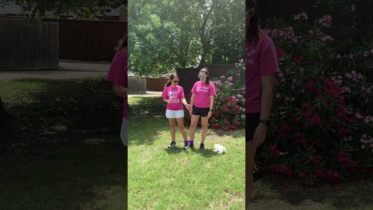 3-legged race - YouTube