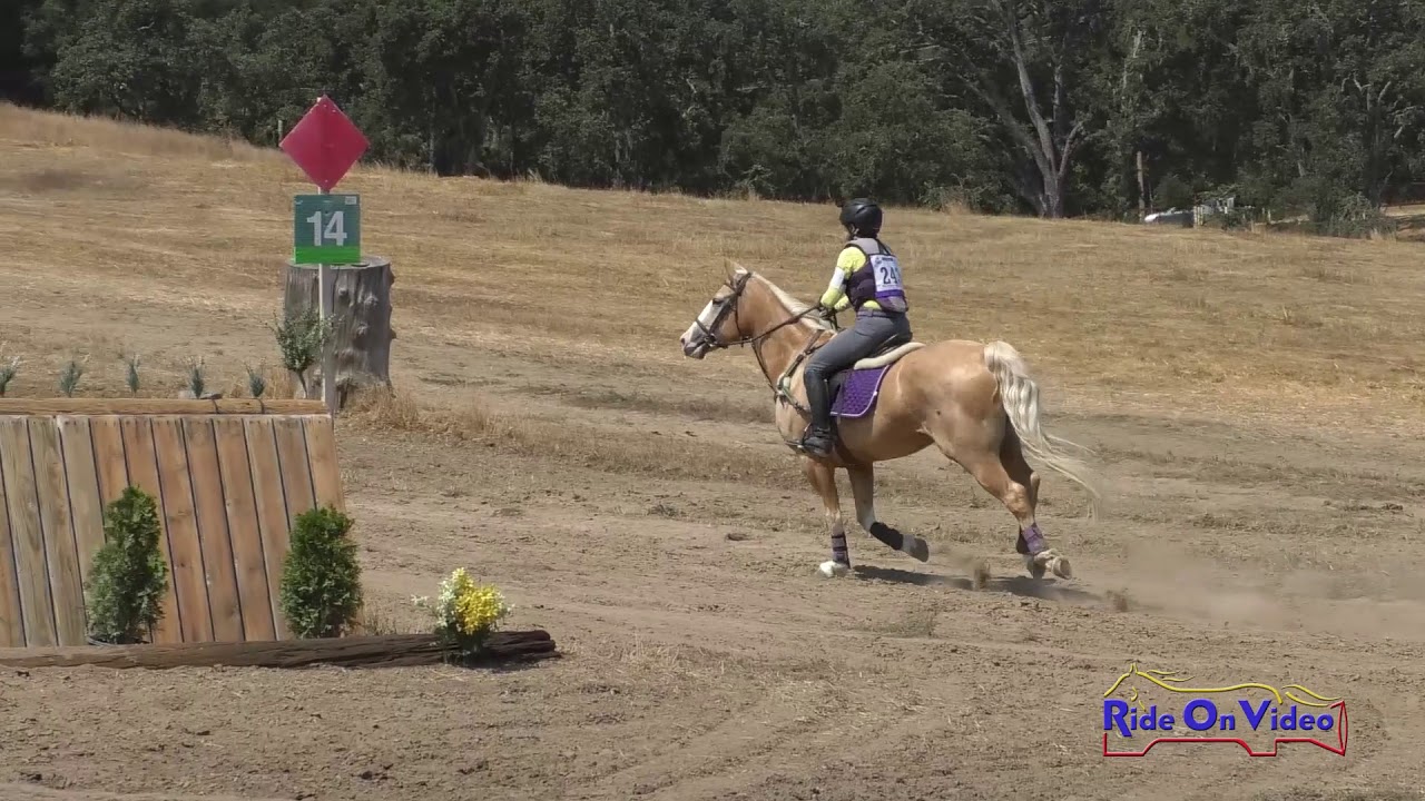 243XC Ashley Nelms on Delightfully Dandy SR Beginner Novice Cross ...