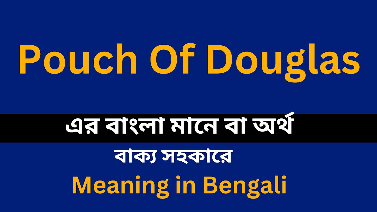 Pouch Of Douglas meaning in bengali/Pouch Of Douglasশব্দের বাংলা ভাষায় ...