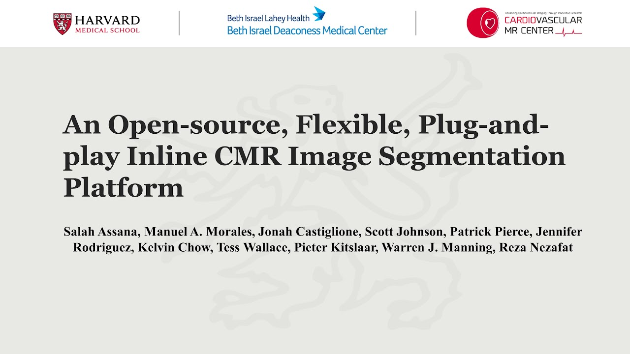 An Open-source, Flexible, Plug-and-Play Inline CMR Image Segmentation ...