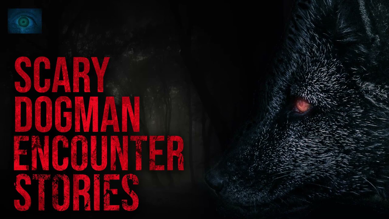 DOGMAN, WEREWOLVES AND CANINE CREATURES - SCARY STORIES OF DOGMAN ...
