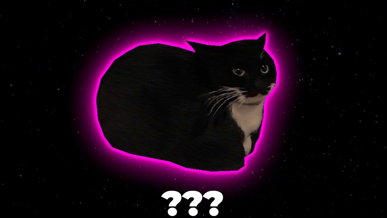 Maxwell The Cat Sound Variations in 30 Seconds - YouTube