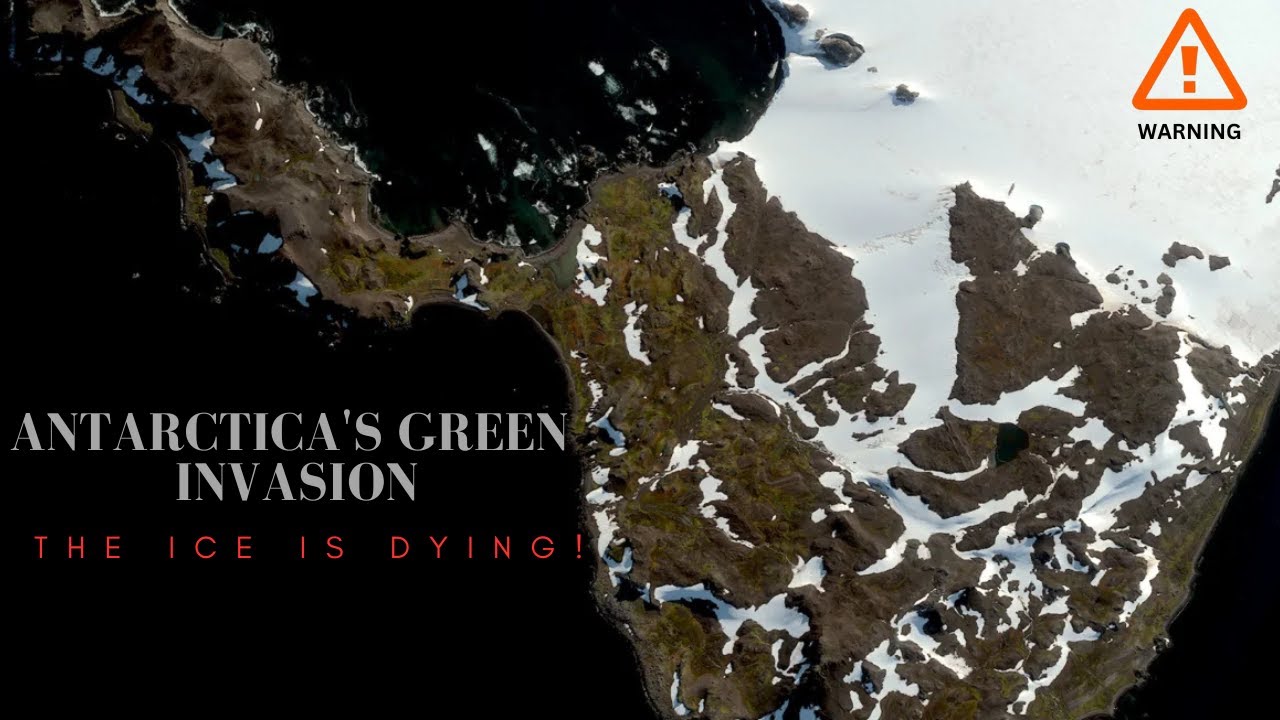 Antarctica's Green INVASION: The Ice is DYING! - YouTube