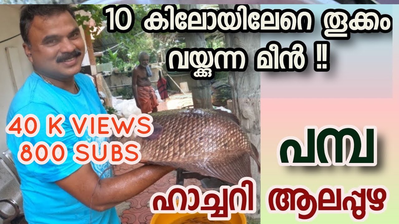 PAMBA FISH FARM ALAPPUZHA | പമ്പ ഫിഷ് ഫാം ആലപ്പുഴ | SANU MEDIA - YouTube