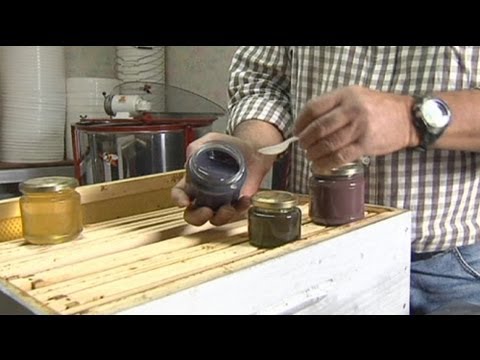 El extraño caso de la miel azul - YouTube