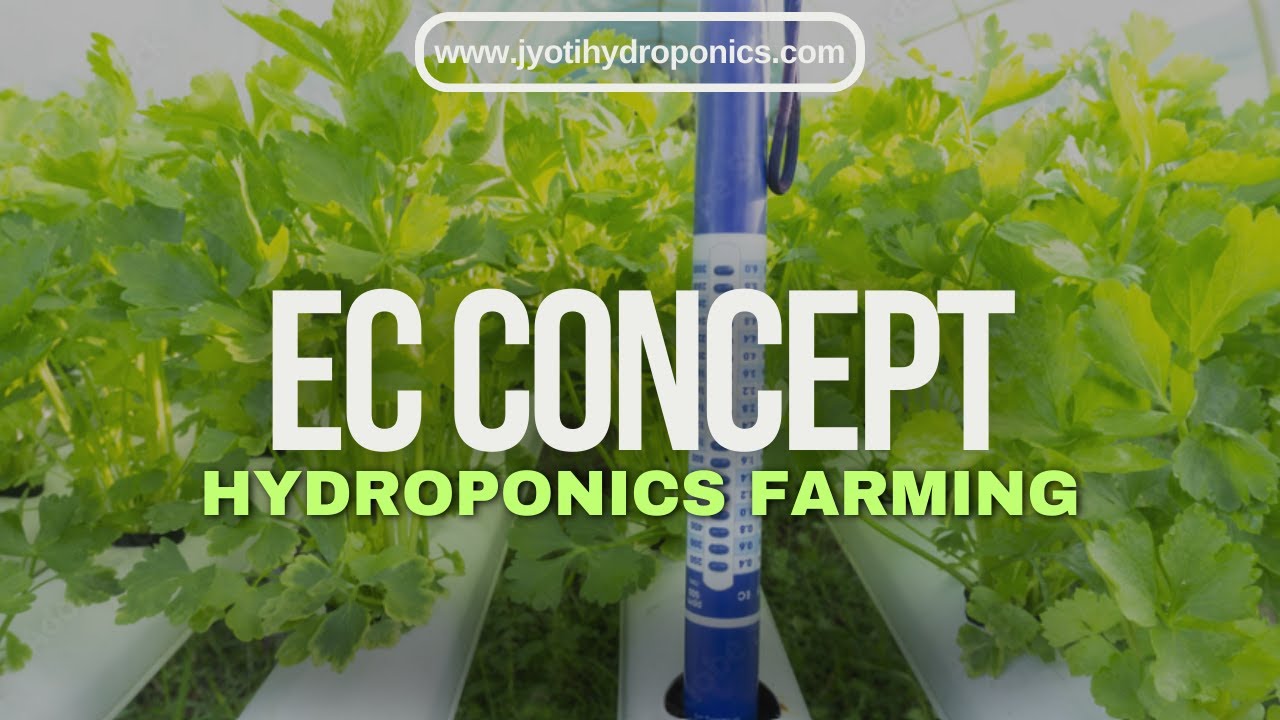 10. EC Concept for Hydroponics (Jyoti Hydroponics Farm) - YouTube