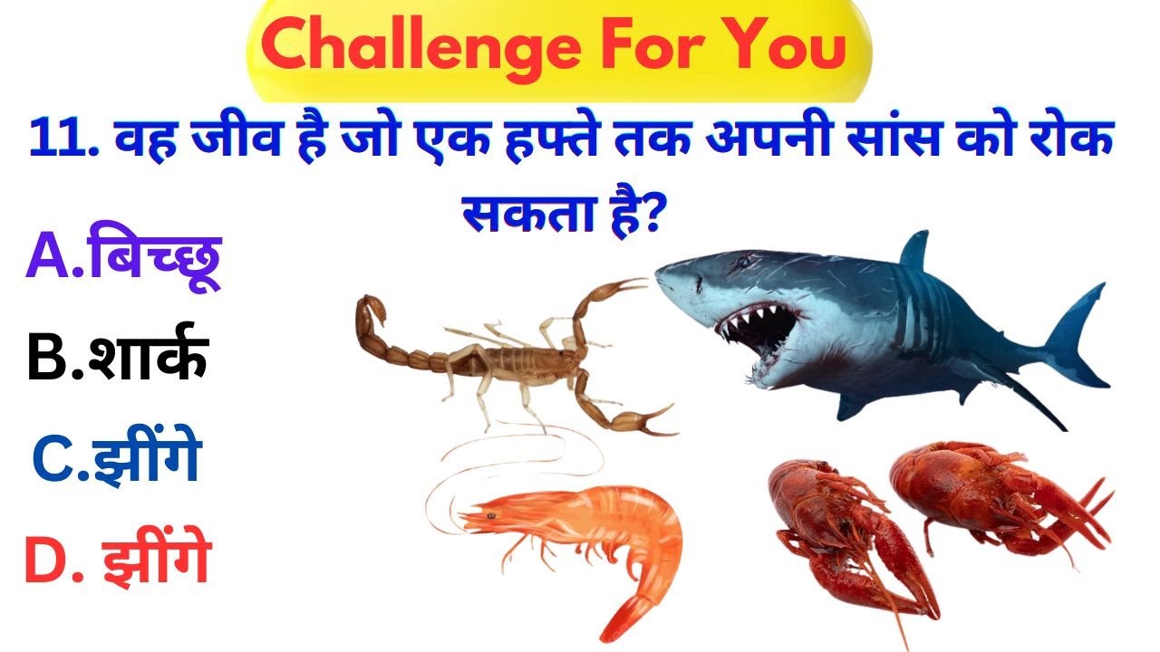 GK QUESTION GK IN HINDI GK QUESTION AND ANSWER GK QUIZ gk-question-gk-in-hindi-gk-question-and-answer-gk-quiz