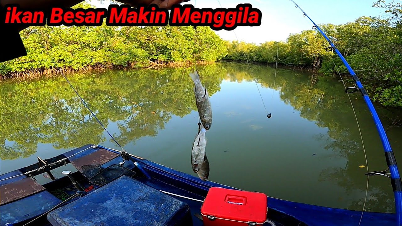 ikan Besar Mana Yg Tidak Tergoda Melihat Deretan Umpan ini, Pancing ...