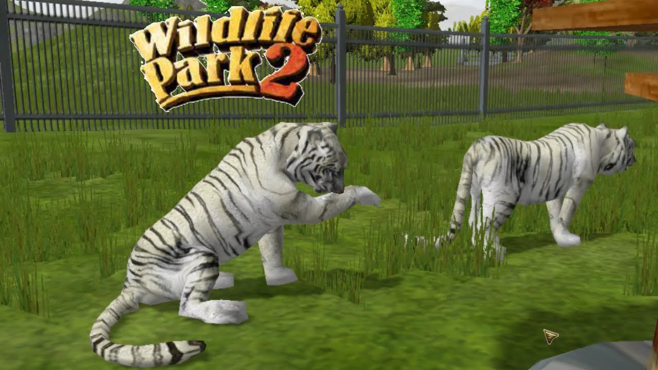 Wildlife Park 2 White Tiger Gameplay HD - YouTube