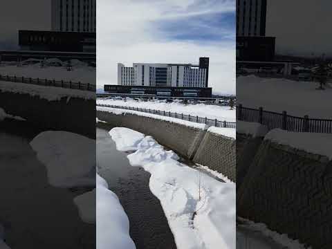 北海道帶廣市，晴空下的河川雪景。Obihiro City, Hokkaido, river snow scene under clear ...