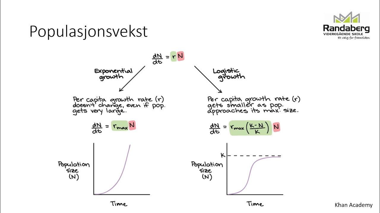programfaget Programmering og modellering X - YouTube