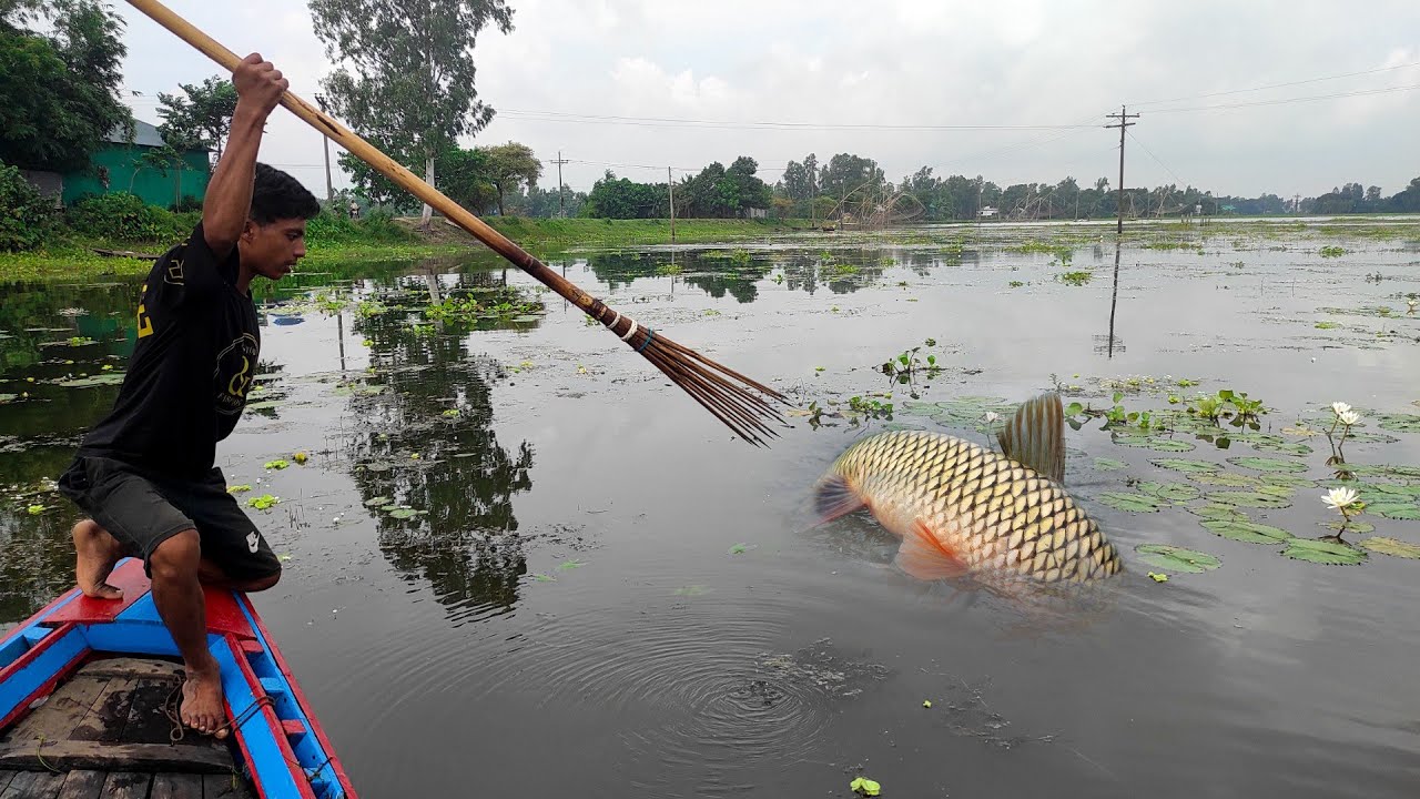 Amazing Daily Village Life Fishing ️ Primitive Fishing Video With ...