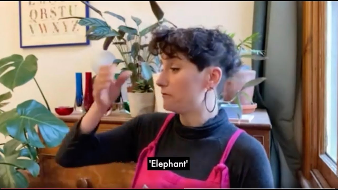 Makaton sign for 'Elephant' - YouTube