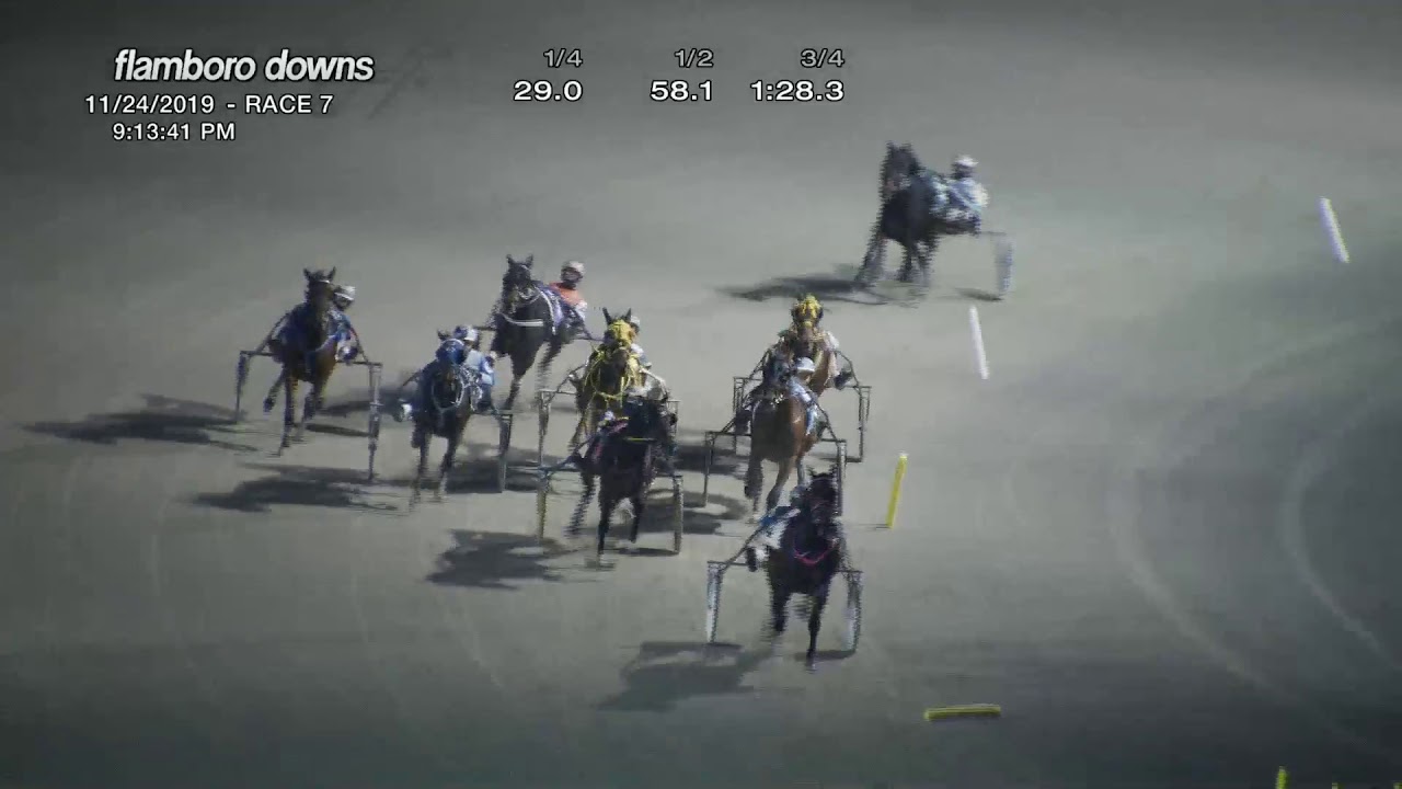 NOV 24,2019-FLAMBORO DOWNS-Race 7 - YouTube