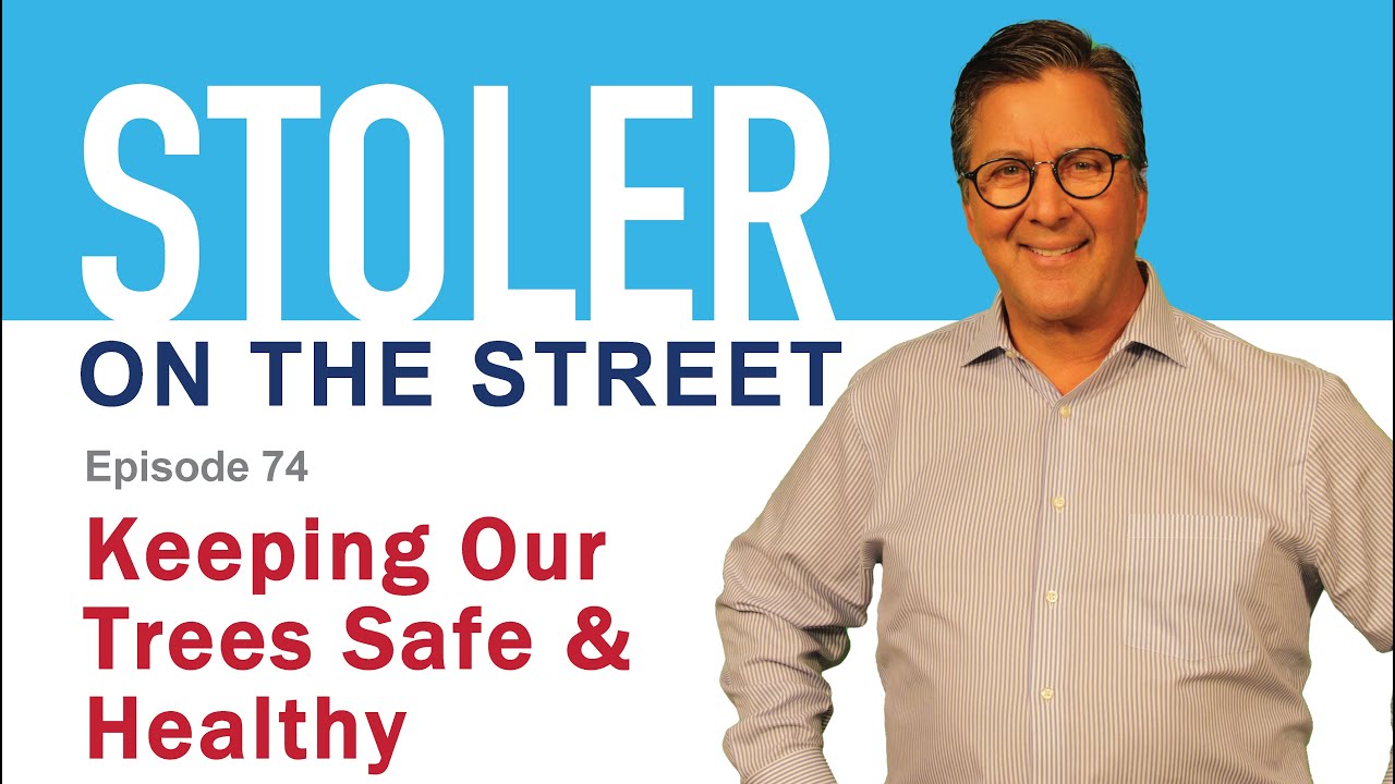 Stoler on the Street: Keeping our trees safe and healthy - YouTube