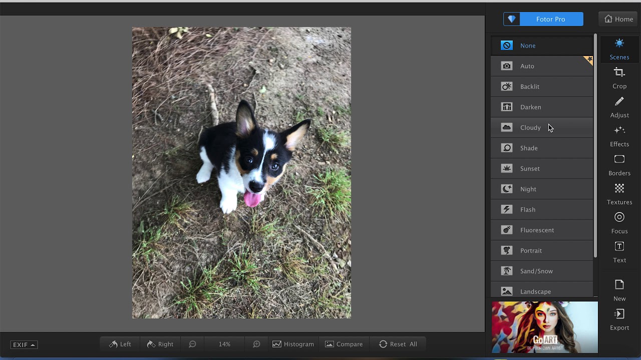 How to add a text box to a photo using the Fotor app - YouTube