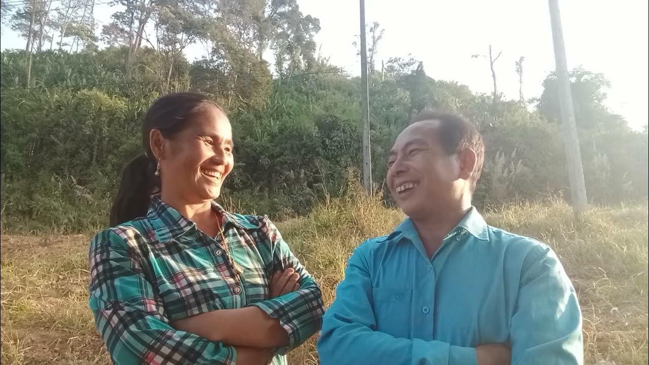 maiv yaj xyooj thiab tooj ntxawg thoj haikwv txhiaj - YouTube