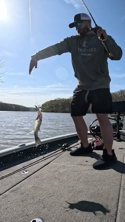 He Put On A Show With The Spinner Bait #shorts - YouTube