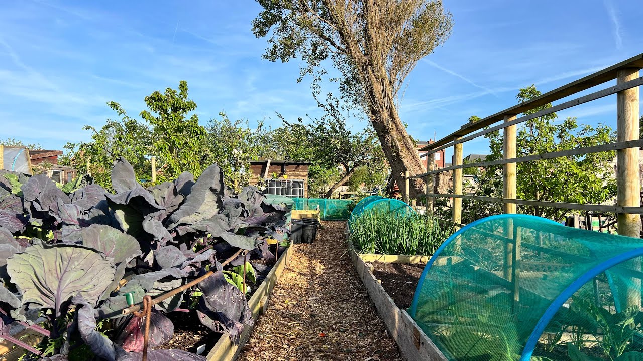 The big transition begins ~ slow gardening - YouTube