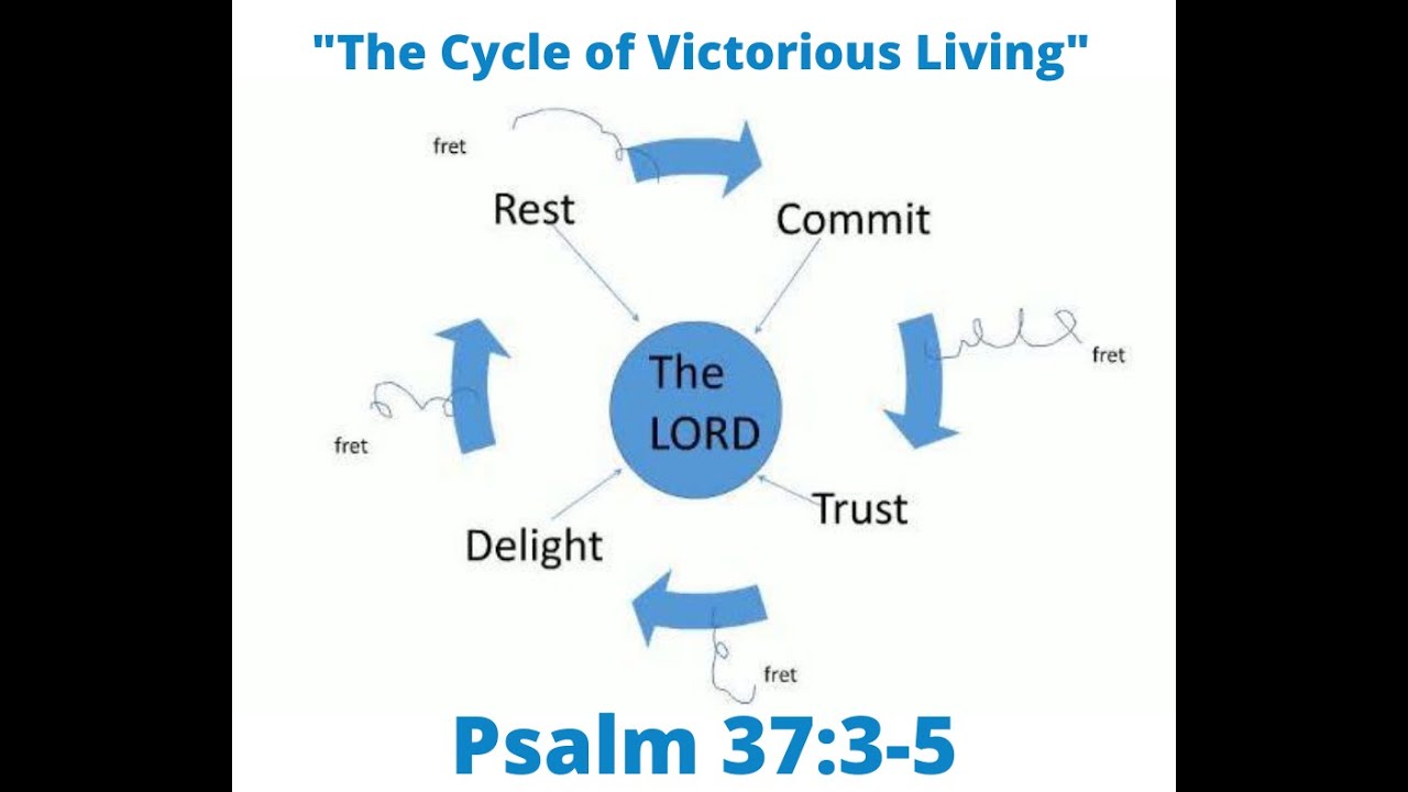 Cycle of Victorious Living (Tami) - YouTube
