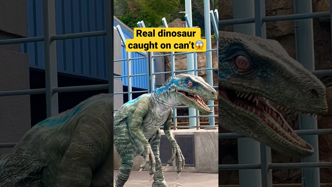 Real dinosaur caught on camera😱 - YouTube