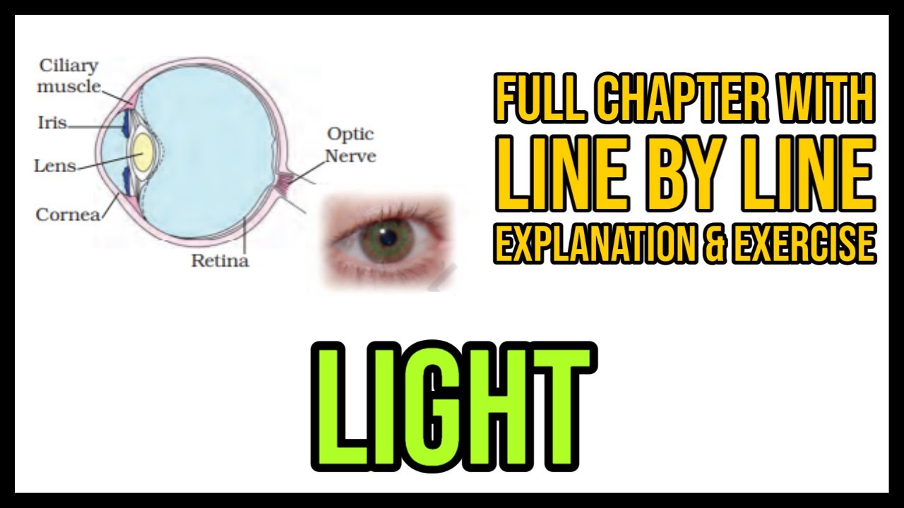 Light Class 8 Chapter 16 Science CBSE NCERT YouTube light-class-8-chapter-16-science-cbse-ncert-youtube