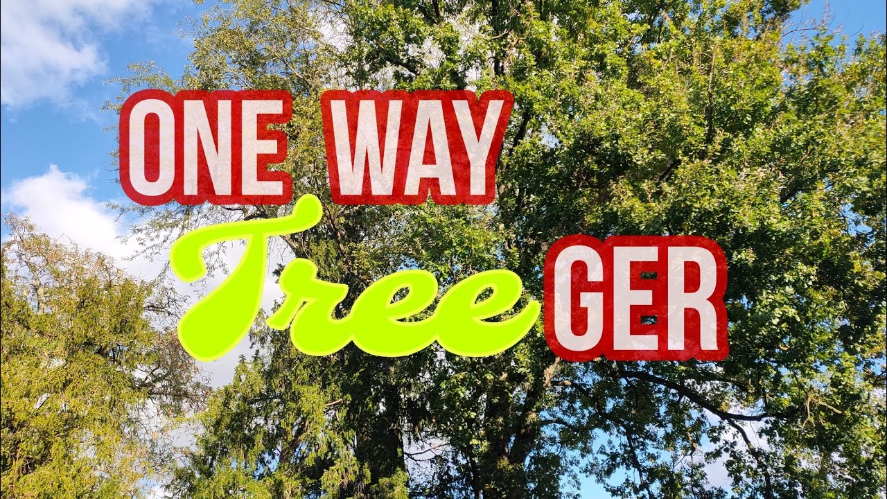 One way Trigger - The Strokes (covered in a tree) - YouTube