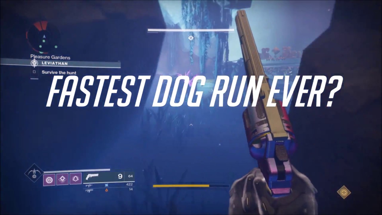 Fastest Dog Run Ever (Raid) | Destiny 2 - YouTube