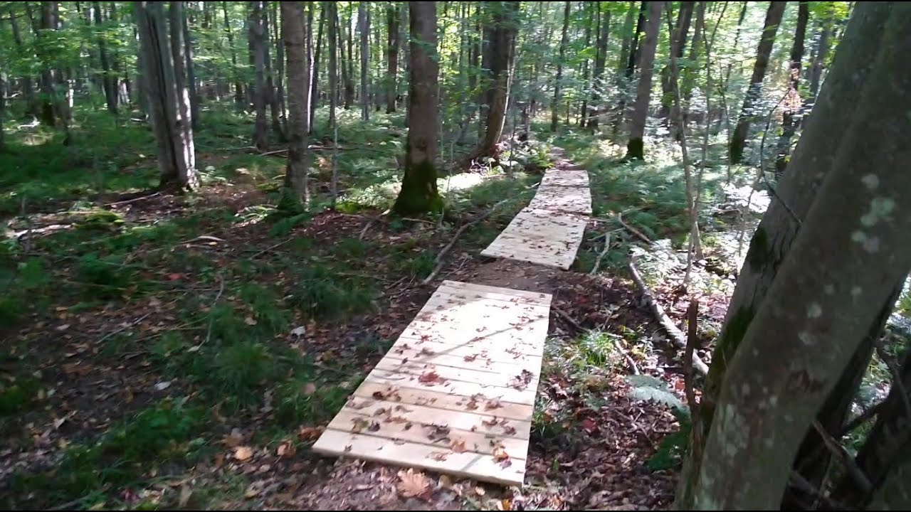 Building a Boardwalk on Our Off-Grid Property - YouTube