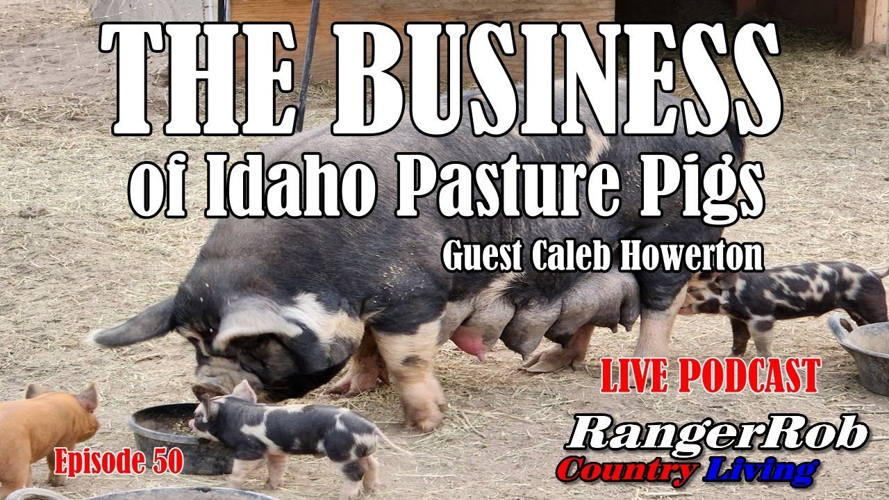 The Business of Idaho Pasture Pigs & Livestock, Guest Caleb Howerton ...