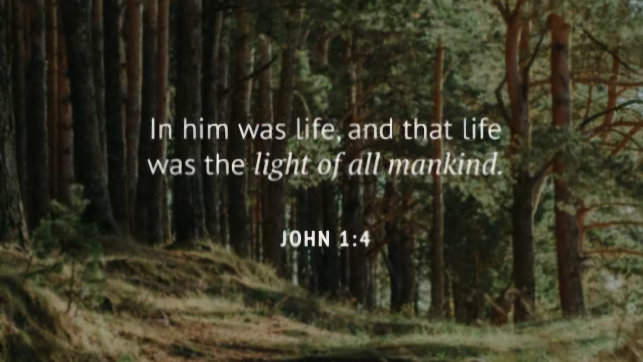 Window To The Wonderful! 😊 Our Daily Bread! 🍞 Scripture: Revelation 21:23-22:5 📖 Prayer Requests ...